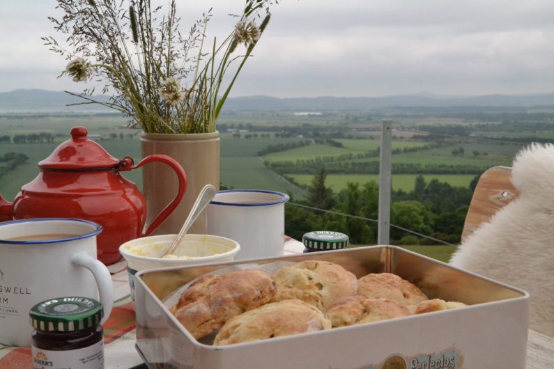 An Engagement Staycation at Guardswell Farm • Hollie Berries