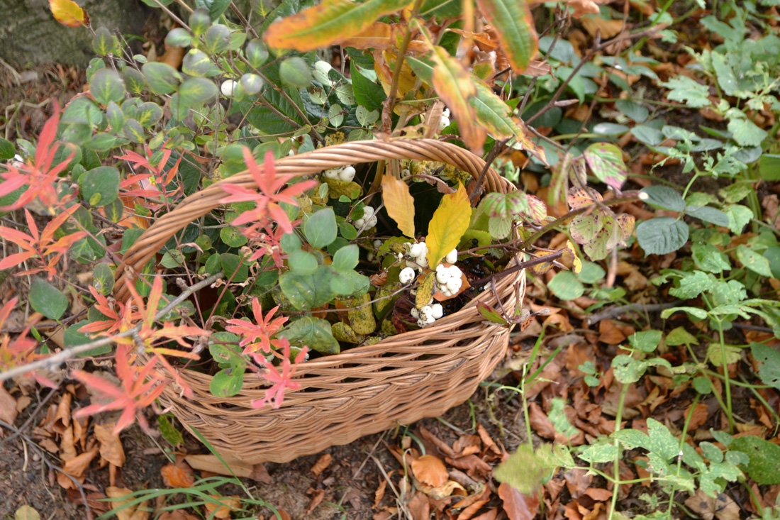Autumn Wreath • Hollie Berries