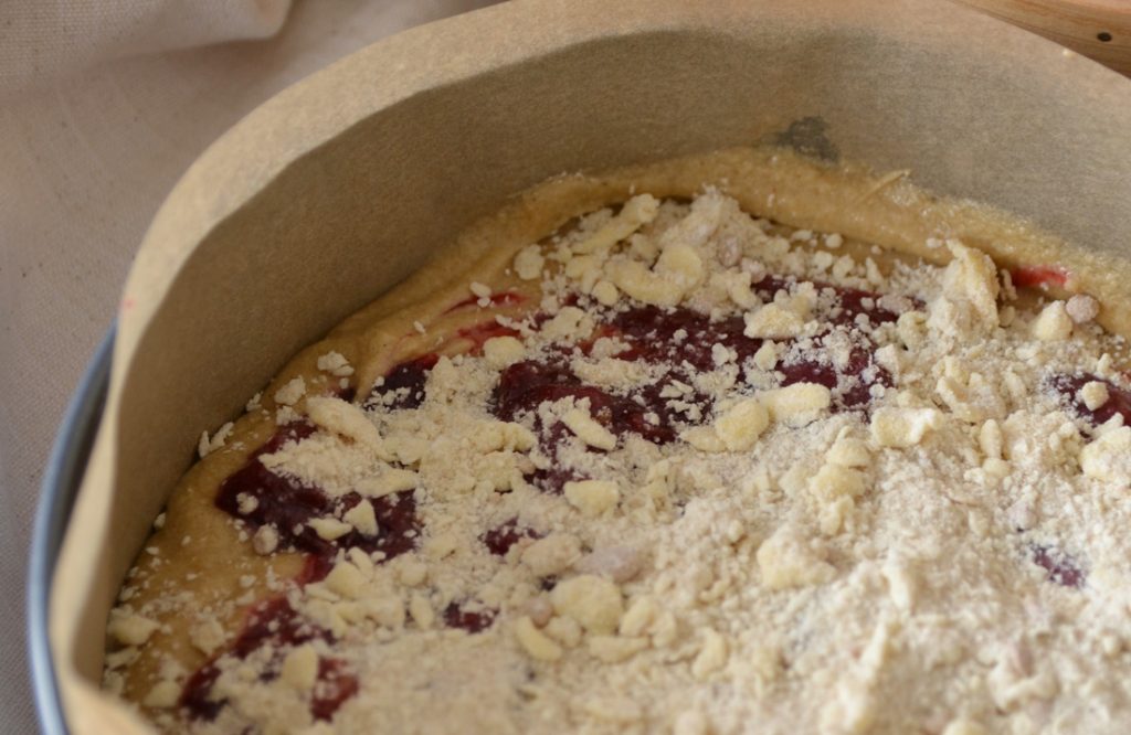 Spiced Plum Crumble Cake • Hollie Berries