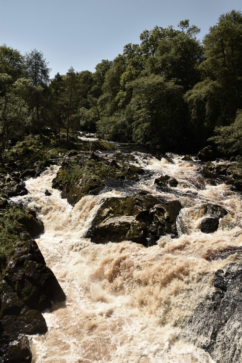 A Deeside Tour • Hollie Berries