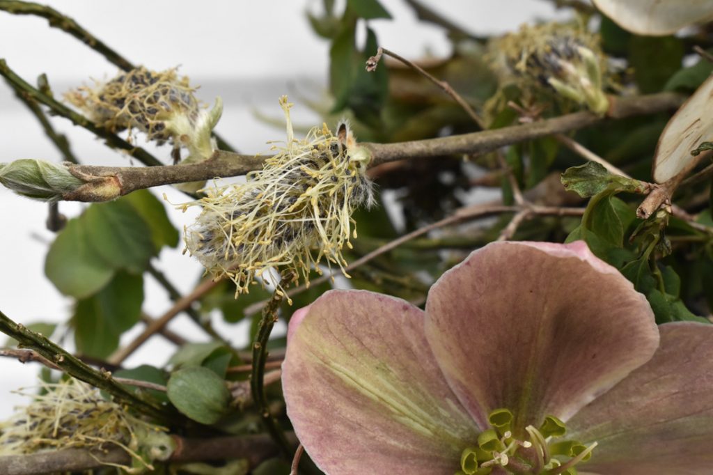 DIY Foraged Spring Wreath • Hollie Berries